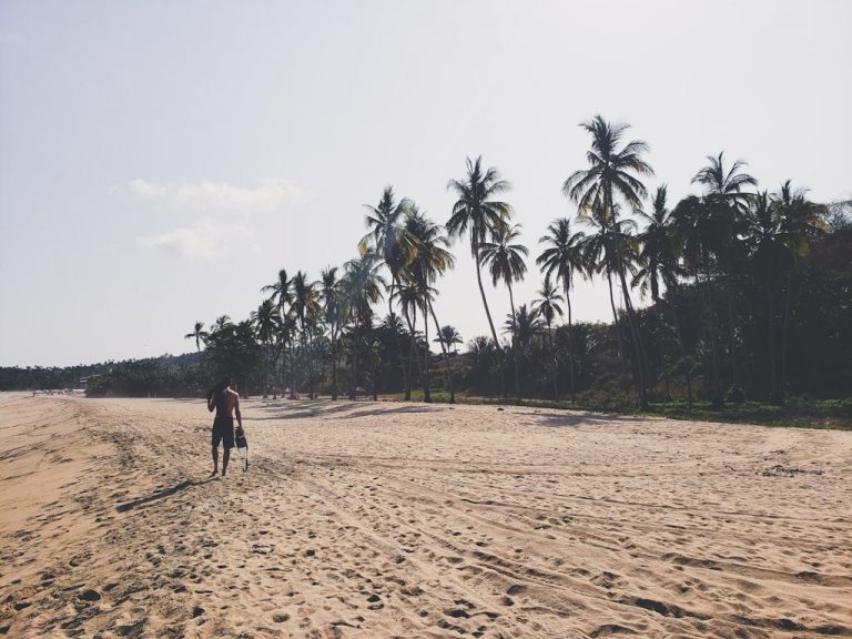 40 Awesome Things to Do in San Pancho, Mexico | Bucketlist Bri