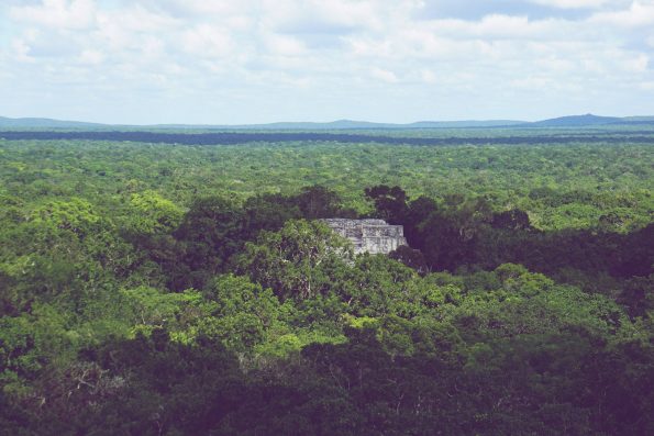 How to Visit Calakmul Mayan Ruins (Campeche) | Bucketlist Bri