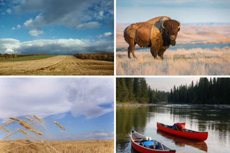 Ultimate Road Trip Across Canada: Newfoundland to Vancouver