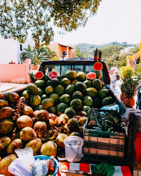 San Pancho, Mexico - Ultimate Guide (Read This Before Visiting!)