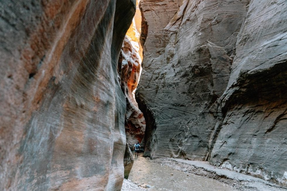A Beginner’s Guide to Hiking the Narrows in Zion | Bucketlist Bri