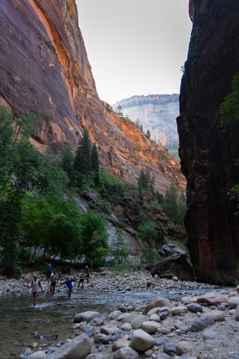 A Beginner’s Guide to Hiking the Narrows in Zion | Bucketlist Bri