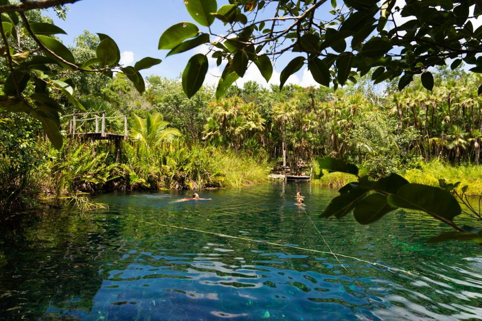 Floating the Muyil Canals “Lazy River” in Sian Ka’an (2024)
