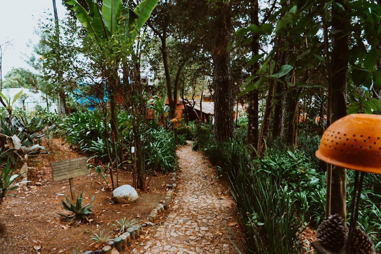 How to Visit Casa Na Bolom Museum & Hotel | Bucketlist Bri