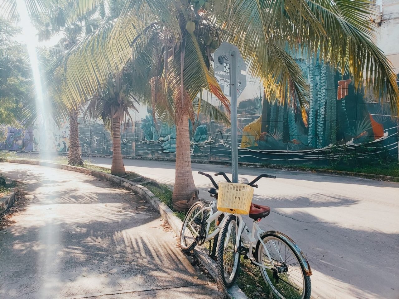 How to Visit Akumal From Tulum (+ What to Do in Akumal)