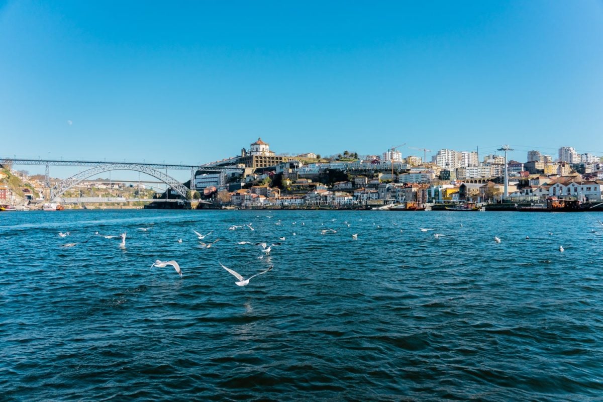 Is the 6 Bridges River Cruise in Porto Worth It?