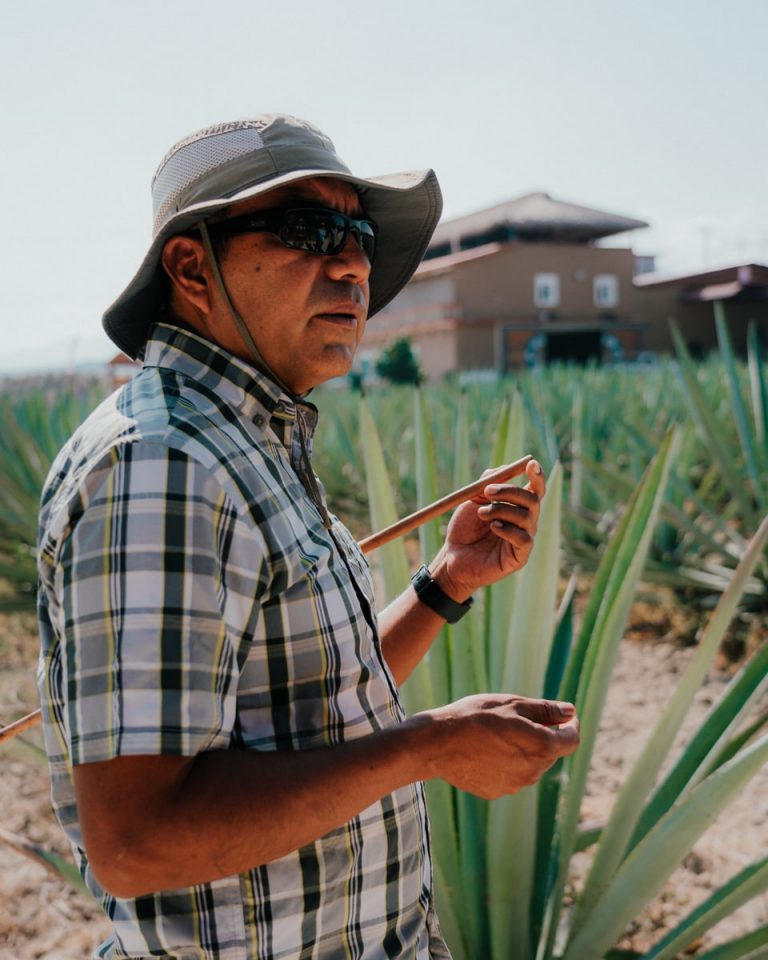 Best Mezcal Tours in Oaxaca, Mexico (+ Mezcal Tasting)