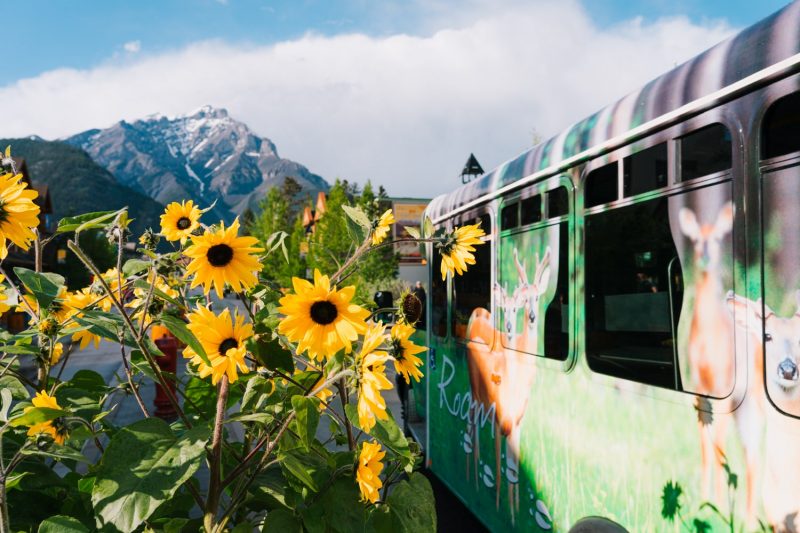 How to Visit Banff Responsibly (First-Timers Travel Guide)