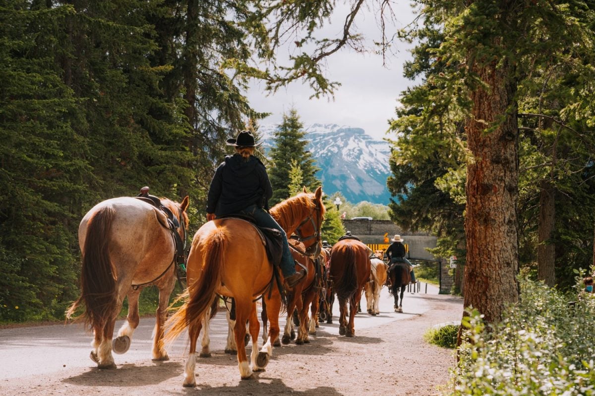25 Things to Do in Banff in the Summer (BANFF BUCKET LIST)