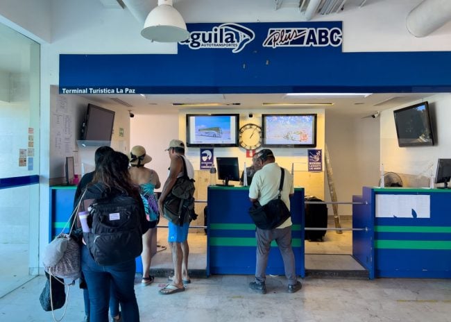 The Ultimate Playa Balandra Beach Guide (Read This First!)