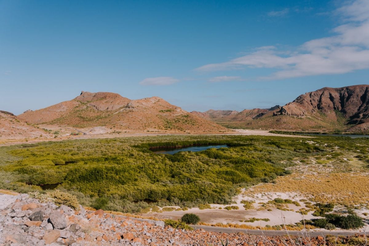 The Ultimate Playa Balandra Beach Guide (Read This First!)