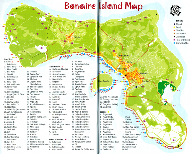 The Complete Guide to Scuba Diving in Bonaire (Caribbean)