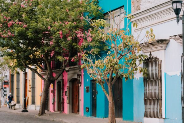 The Best Time to Visit Oaxaca (Festivals, Weather, & More)
