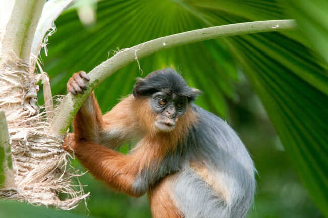 Ethical Tourism Explained: Plus, 23 Ethical Travel Tips