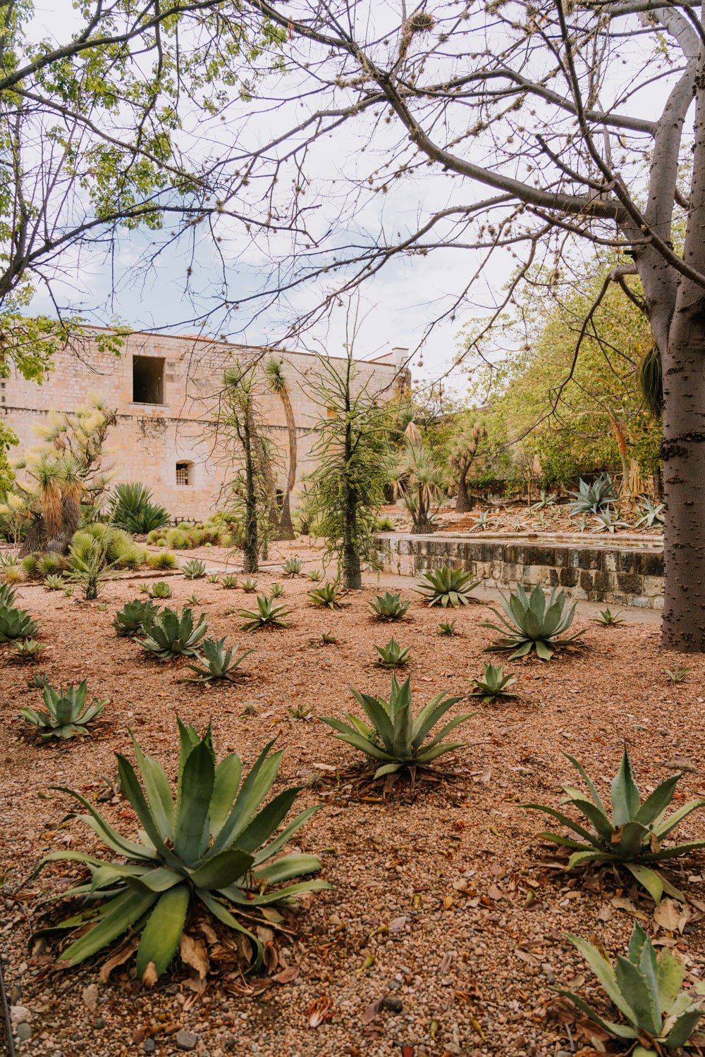 The Perfect 3 Days in Oaxaca City, Mexico (Itinerary)