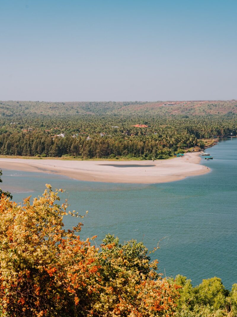 9 Awesome Things to Do in Morjim (North Goa)