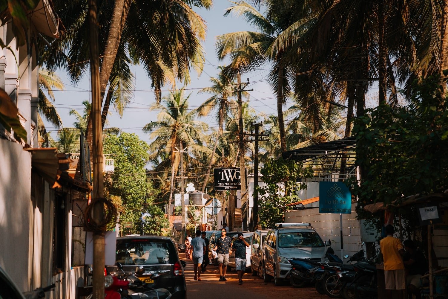 9 Awesome Things to Do in Morjim (North Goa)