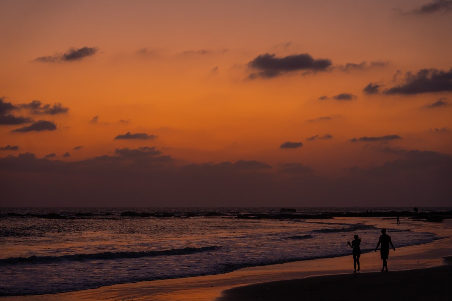 9 Awesome Things to Do in Morjim (North Goa)