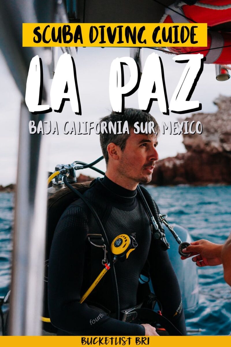The Ultimate Guide to Scuba Diving in La Paz, Mexico