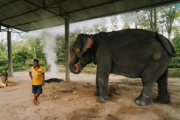 10+ Adventurous Things to Do in & Near Chitwan National Park