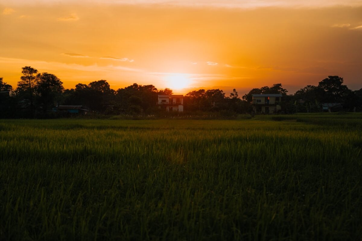 10+ Adventurous Things to Do in & Near Chitwan National Park