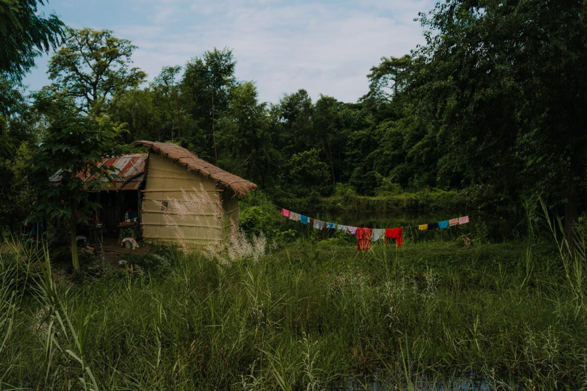 Barauli Homestay in Chitwan, Nepal: My Honest Experience