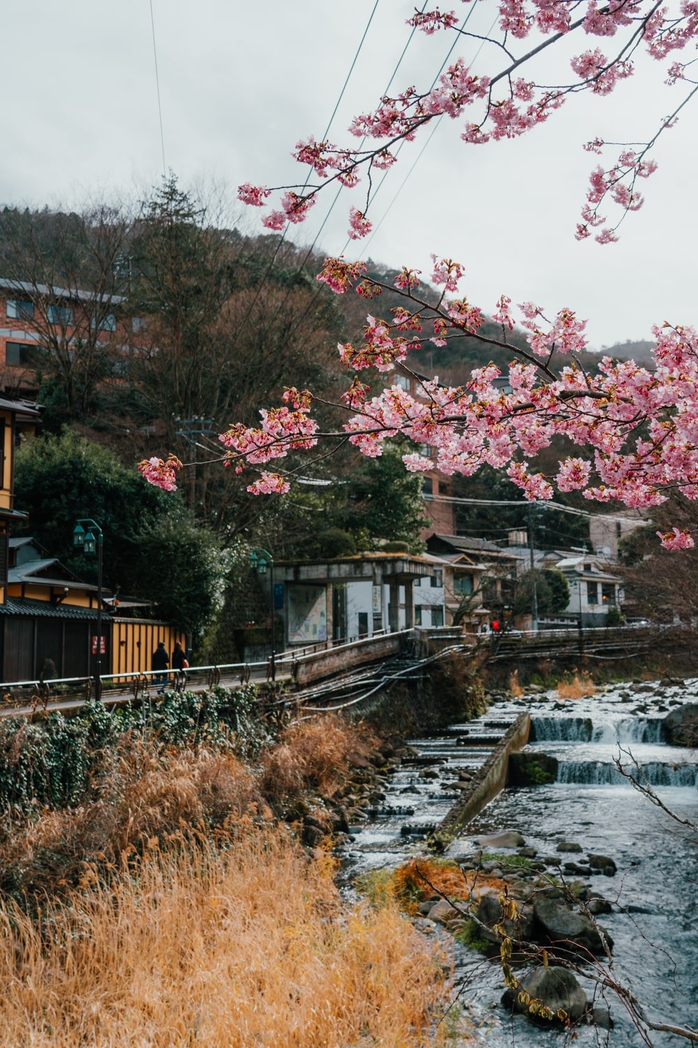 Visiting Hakone in Winter: Hot Springs, Hiking, & Amazake