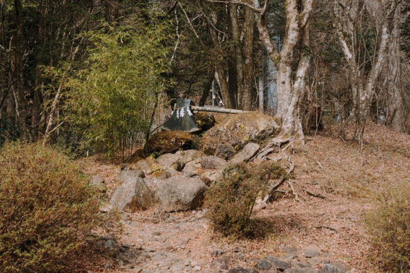 Hiking Mount Kintoki in Hakone (Mt Ashigara): A Trail Guide