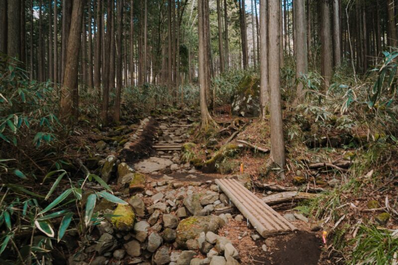 Hiking Mount Kintoki in Hakone (Mt Ashigara): A Trail Guide