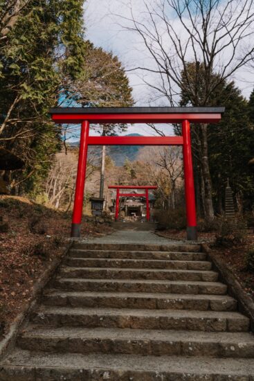 Hiking Mount Kintoki in Hakone (Mt Ashigara): A Trail Guide