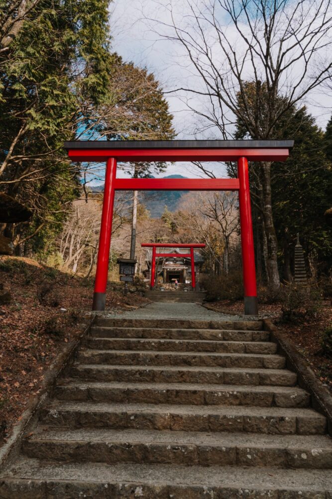 Hiking Mount Kintoki in Hakone (Mt Ashigara): A Trail Guide