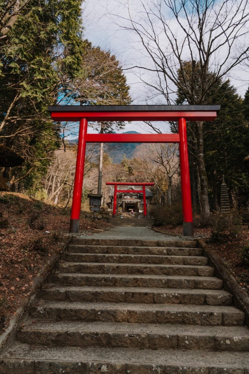 Hiking Mount Kintoki in Hakone (Mt Ashigara): A Trail Guide