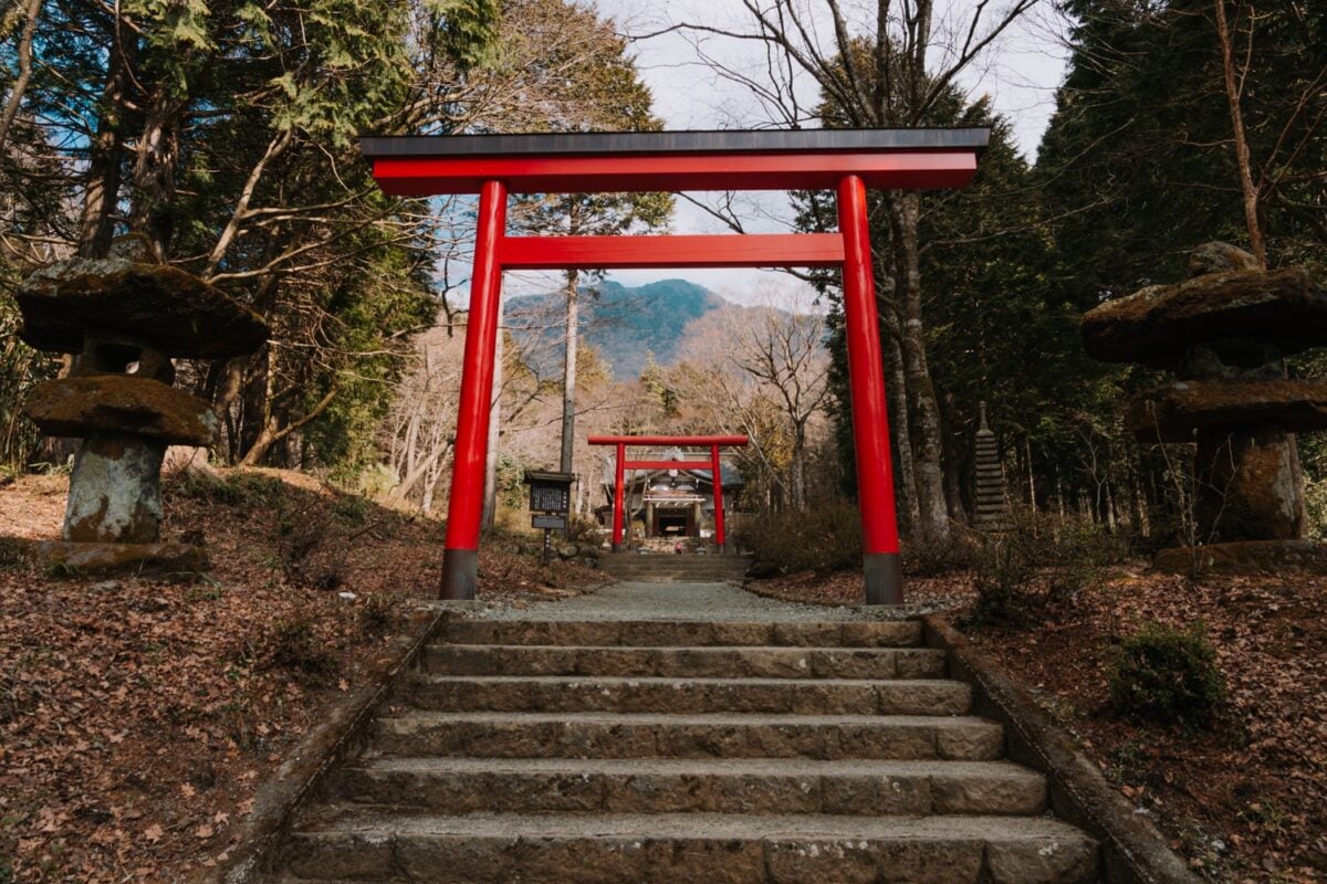 Hiking Mount Kintoki in Hakone (Mt Ashigara): A Trail Guide