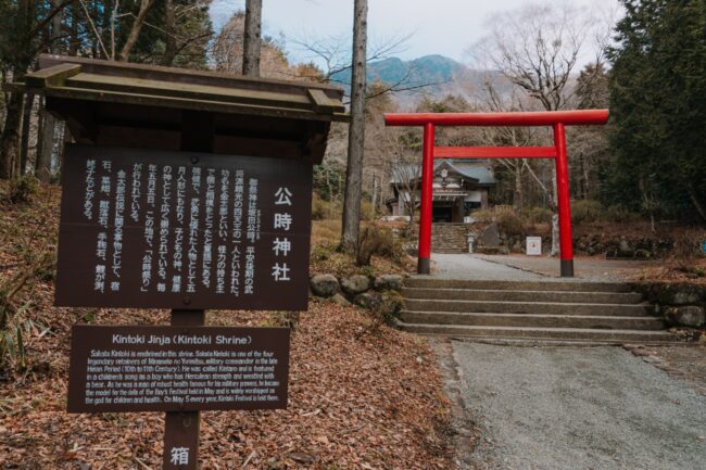 Hiking Mount Kintoki in Hakone (Mt Ashigara): A Trail Guide