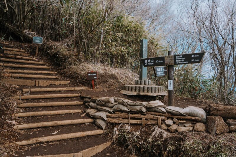 Hiking Mount Kintoki in Hakone (Mt Ashigara): A Trail Guide