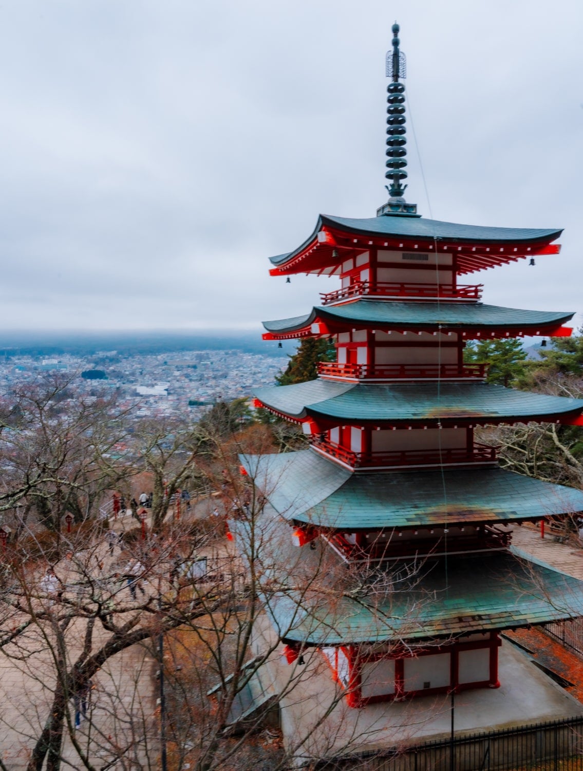 Hiking Mount Kintoki in Hakone (Mt Ashigara): A Trail Guide