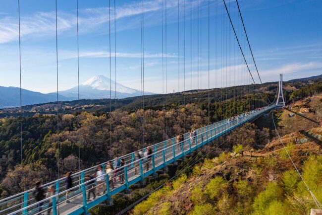 16 Best & Unique Things to Do in Hakone, Japan (2024)